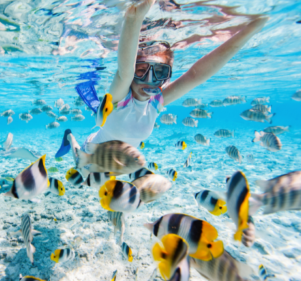 Best St. Thomas Activities and Charters - Island Adventures